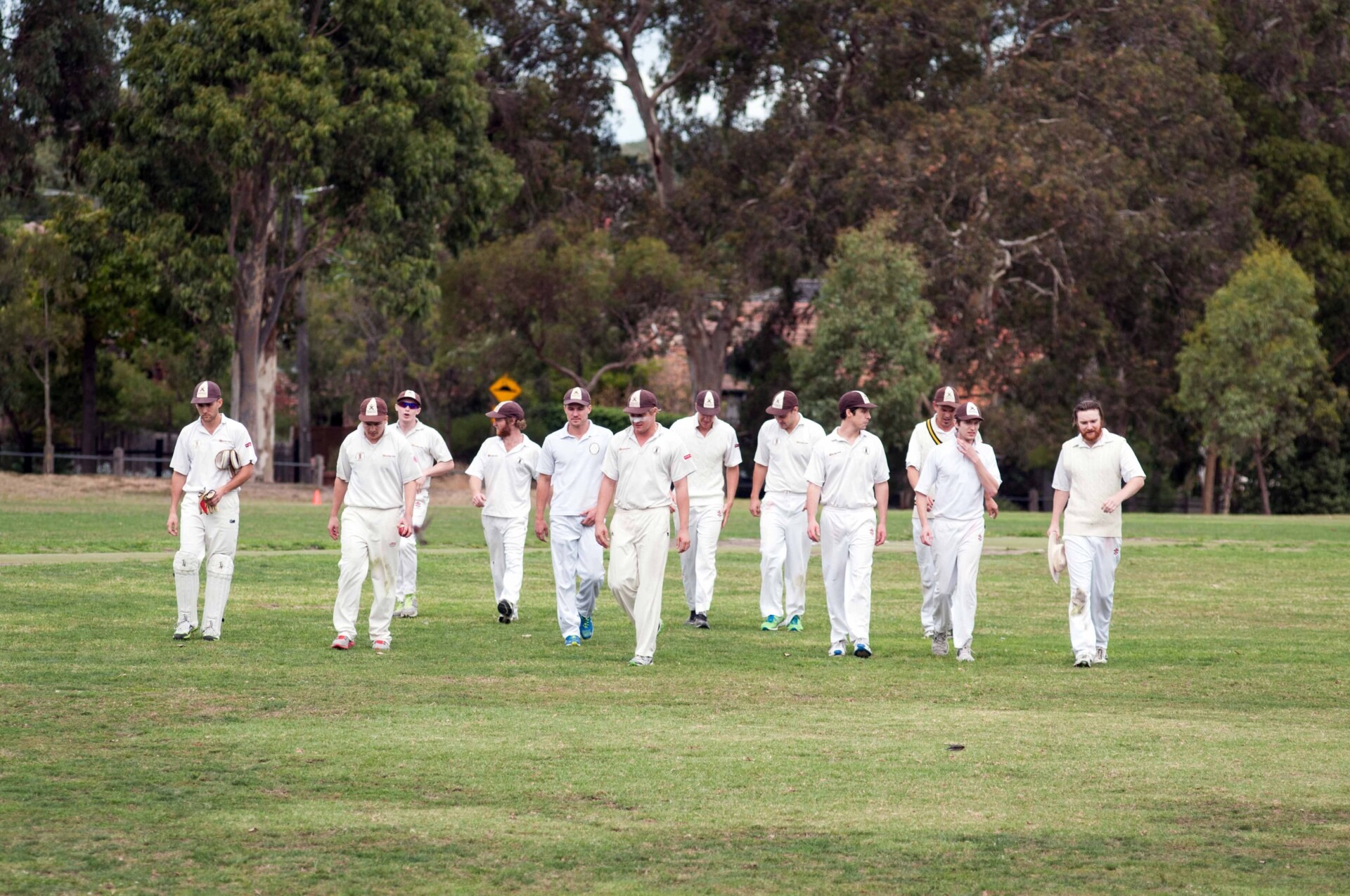 Twenty20 Cricket Match - Ivanhoe Grammar School