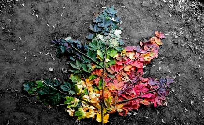 Art in Nature - Ivanhoe Grammar School